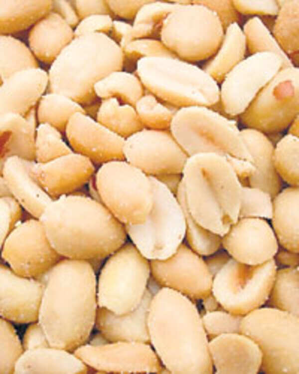 Going nuts with peanuts! - Times of India