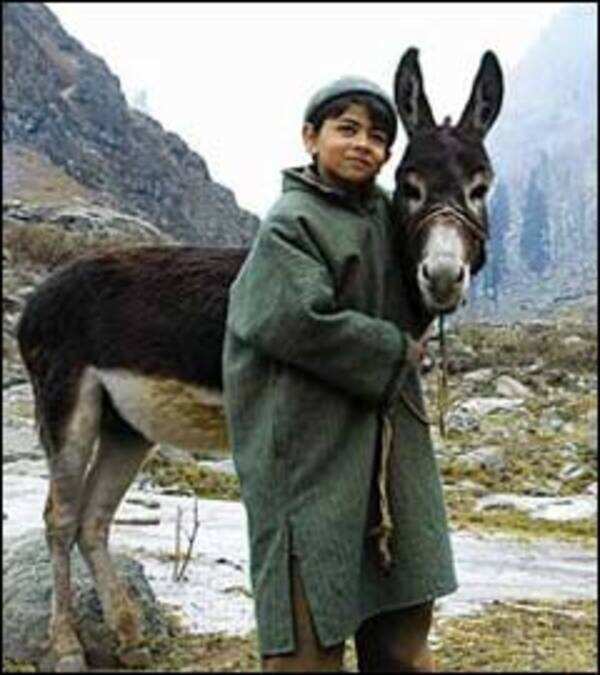 Tahaan (Now Playing) | Hindi Movie News - Times of India