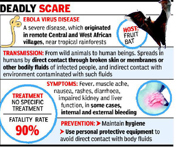 Chennai airport to screen flyers for Ebola after alert on disease ...