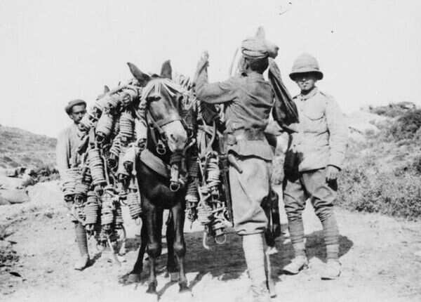 Indians in South Australia barred from Anzac Day parade | India News ...