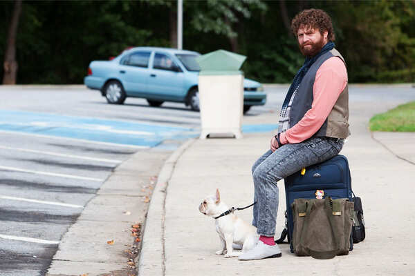20 Life Lessons From Alan Of 'The Hangover' - Times of India