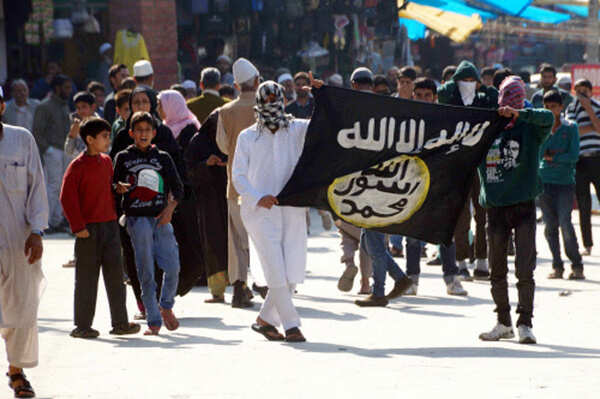 Protesters again display ISIS flags in Kashmir valley | India News ...