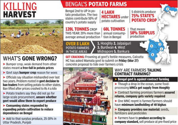 Potato glut and price slump drive 8 farmers to commit suicide in Bengal ...