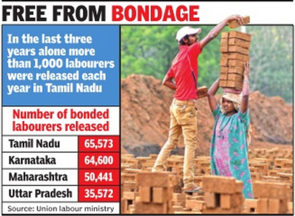 Tamil Nadu accounts for most bonded labourers freed | India News - Times of India