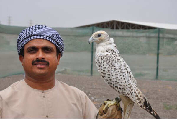 Indian falconologist finds recognition in Saudi Arabia - Times of India