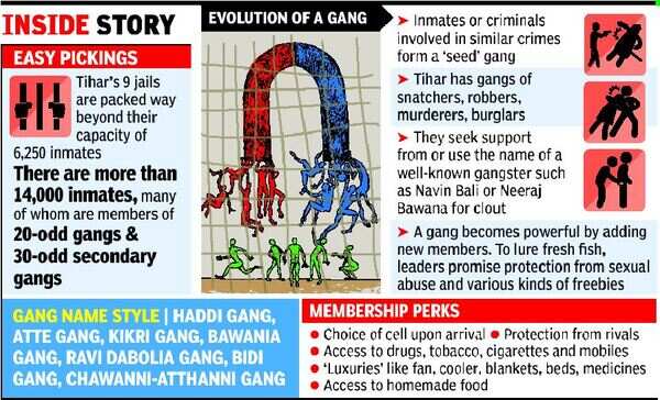 Inside Story: The Gangs of Tihar Jail | India News - Times of India