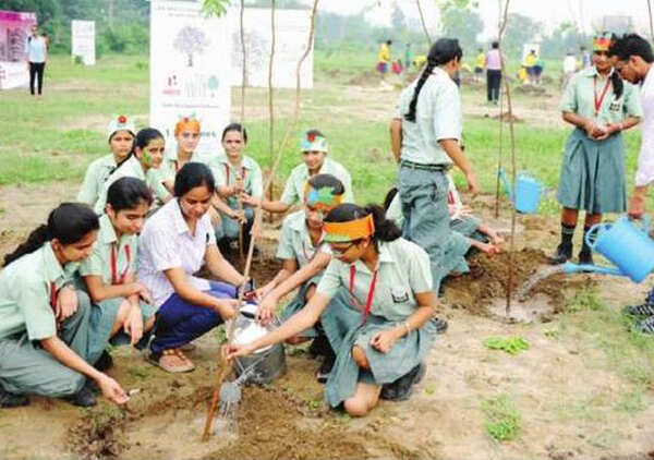 Trees planted to drum beats | Delhi News - The Times of India