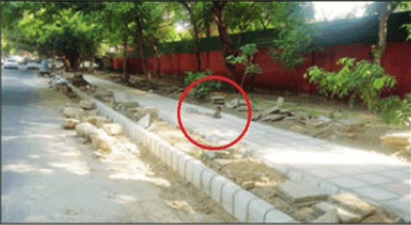 TOI reader sends a shocking image | Delhi News - Times of India