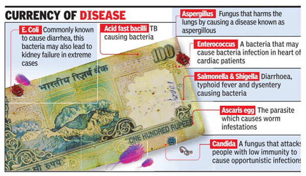 Money trouble: Currency notes are laced with infections - Times of India