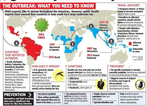 Zika: TN in high-risk category | Chennai News - Times of India