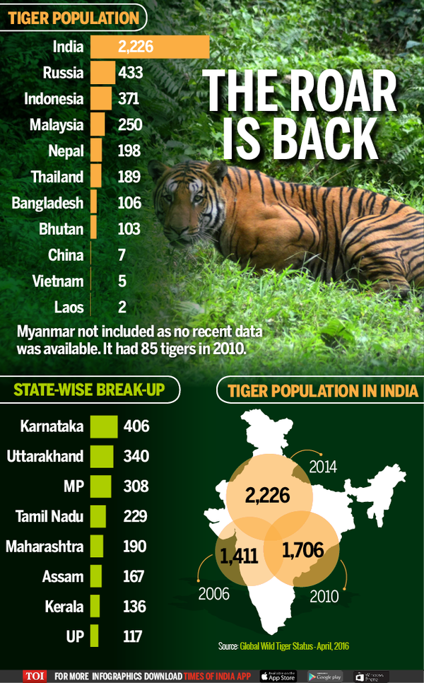 Global tiger population up 22% - Times of India