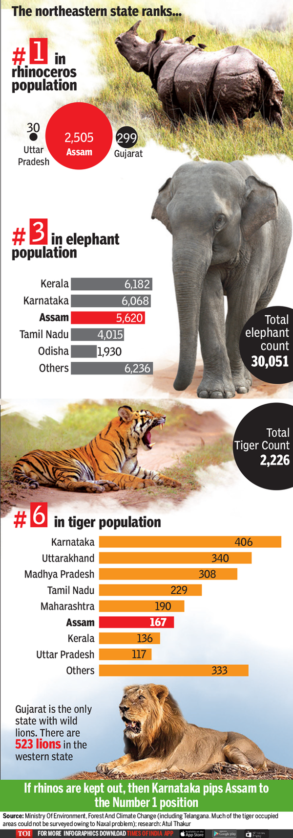 Why Assam Is India's wildlife capital | India News - Times of India