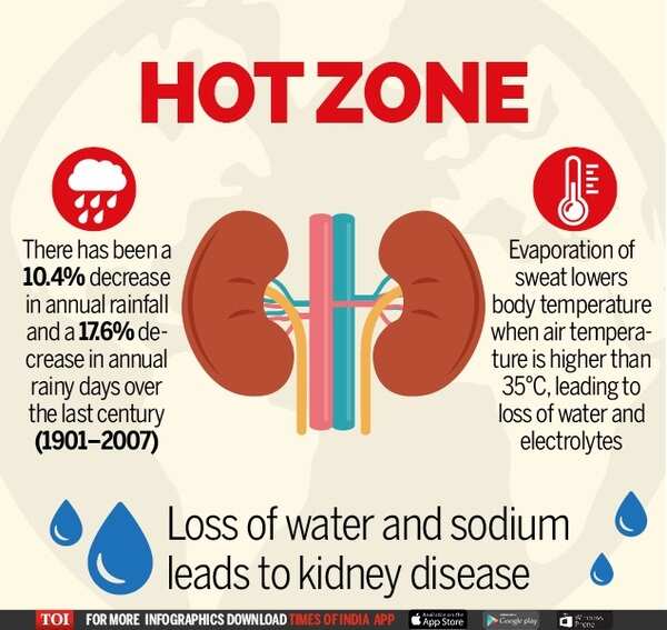 Climate change linked to rise in kidney ailments - Times of India