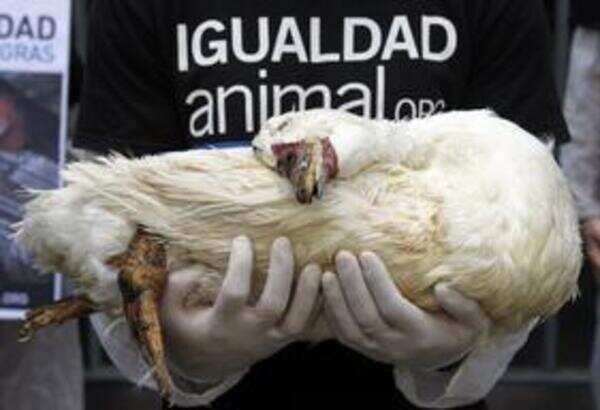 World Environment Day 2016: Photos that show the horrifying effects of ...