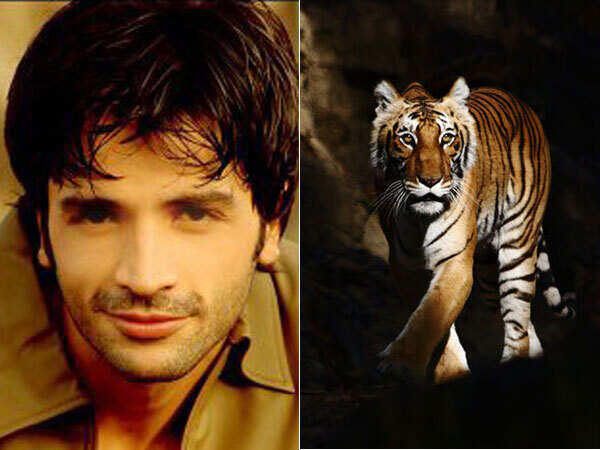 Get Set, Shoot! - Times of India