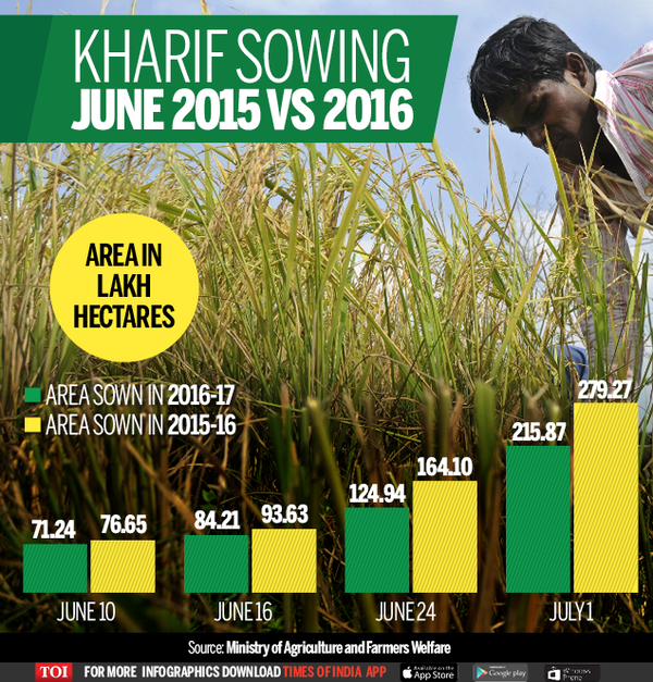 How the delayed monsoon has affected Kharif sowing | India News - Times ...