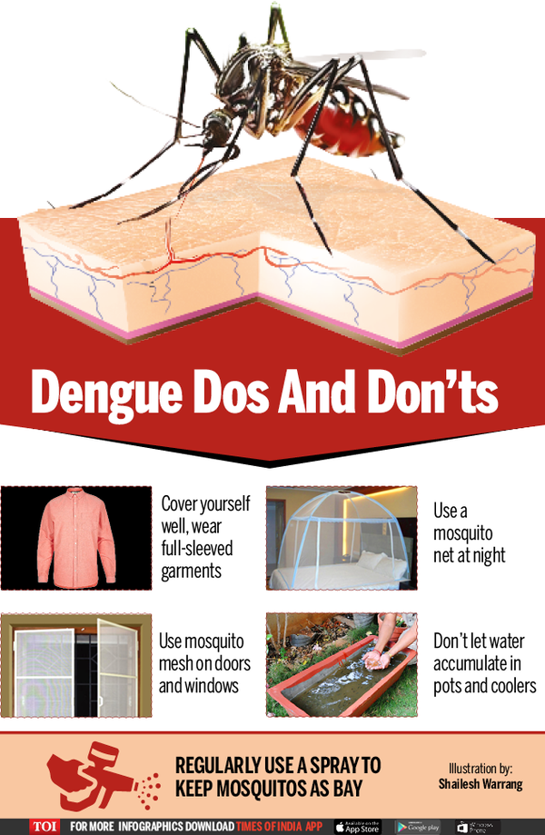 Here’s how to steer clear of Dengue this year | India News - Times of India