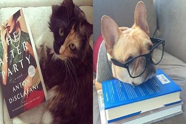 Instagram accounts for book lovers to follow right now! - Times of India