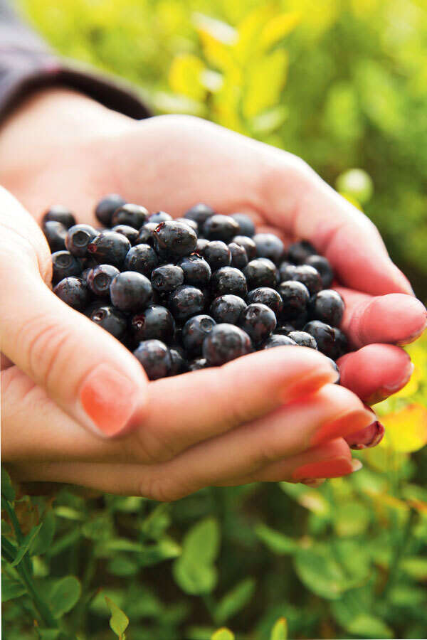 Why we love these three amazing exotic fruits - Times of India