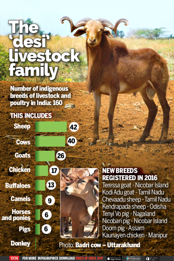 Government registers nine new indigenous breeds of livestock and ...