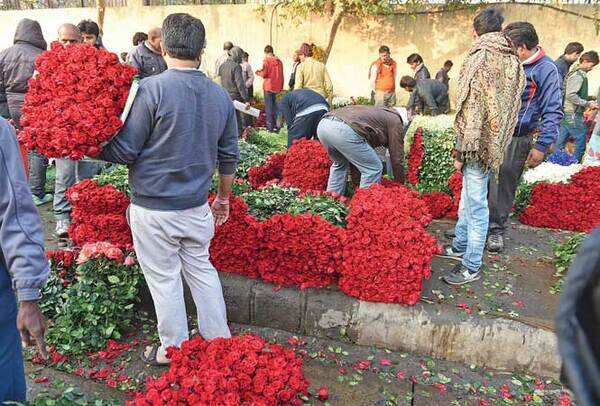 The most expensive roses in the mandi go to Gurgaon, say florists ...