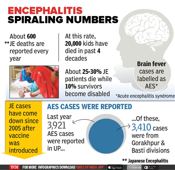 Infographic: Why encephalitis should be an election issue in eastern UP ...
