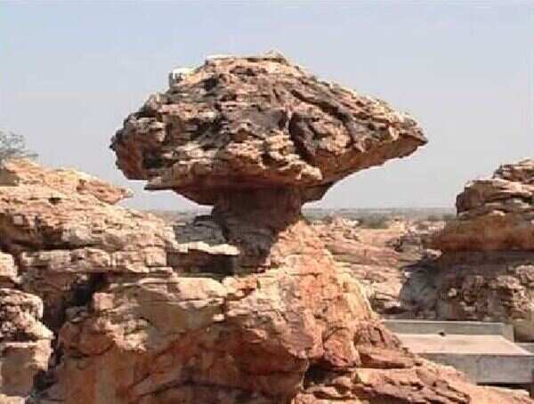 Punnami Orvakal: Punnami Orvakal, the first ever full moon festival to ...