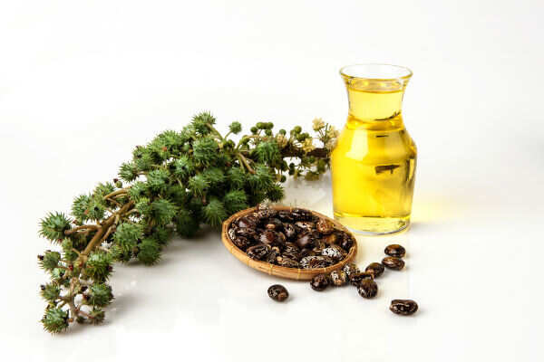 12 Great Health Benefits of Castor oil | - The Times of India