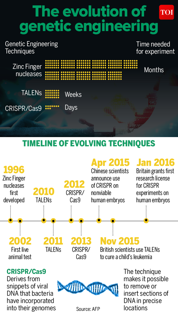 Infographic: A gene editing game-changer - Times of India