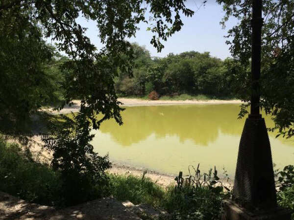 Botanic Garden: Agra parks to be surveyed for setting up botanic garden ...