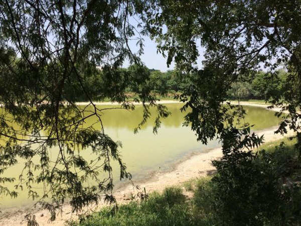 Botanic Garden: Agra parks to be surveyed for setting up botanic garden ...