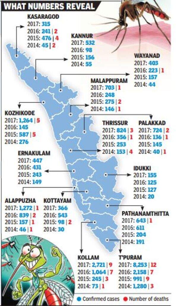 Dengue turns all-season disease | Kochi News - Times of India