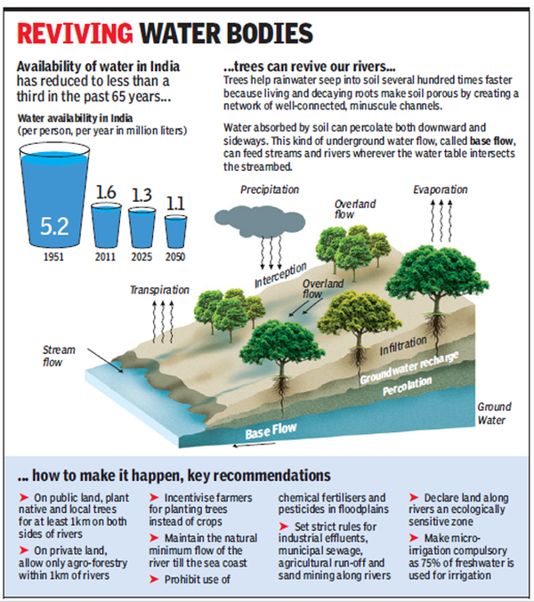 Rally For Rivers: Eight key steps to cleaner rivers and higher green ...