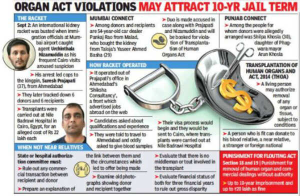 International Kidney Racket: ‘Donate your kidney or face jail in Cairo ...