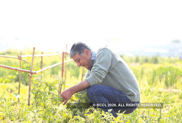 Meet Gurgaon's urban farmers! | Gurgaon News - Times of India