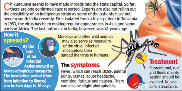 Dengue, chikungunya cases see no let-up, even in winter | Bhopal News ...
