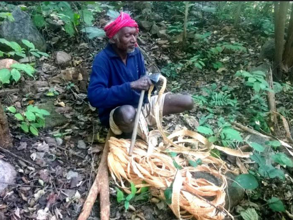 Mankidias Kutia Kondhs: Mankidias, Kutia Kondhs still wait for their ...