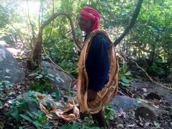 Mankidias Kutia Kondhs: Mankidias, Kutia Kondhs still wait for their ...