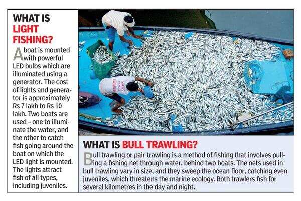 DK, Udupi fishermen agree to put an end to bull trawling | Mangaluru ...