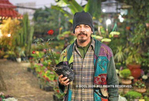 Tackling the rose, rose ki problem! | Dehradun News - Times of India