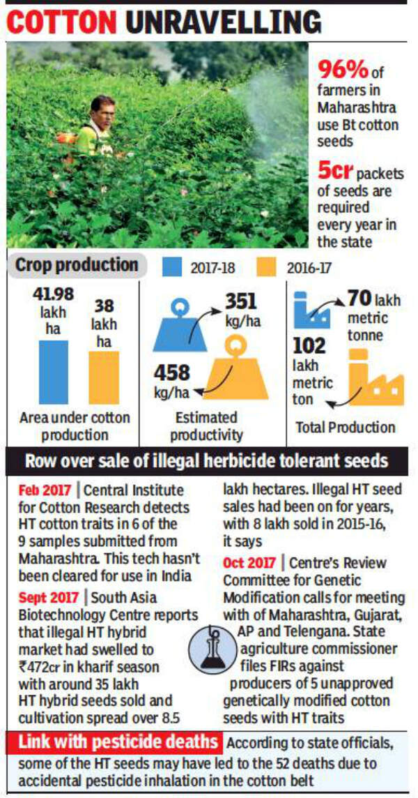 HT Cotton Seeds: State forms one more SIT to probe illegal HT seed ...