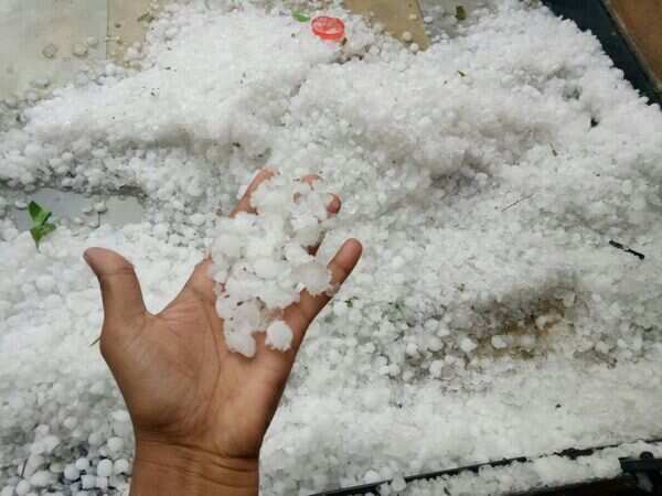 Maharashtra Hailstorm: Heavy rain, hailstorm kill 2 in Maharashtra ...