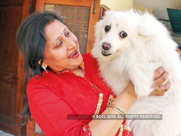 Paawwww! Agra to celebrate Valentine’s Day with pets | Agra News ...