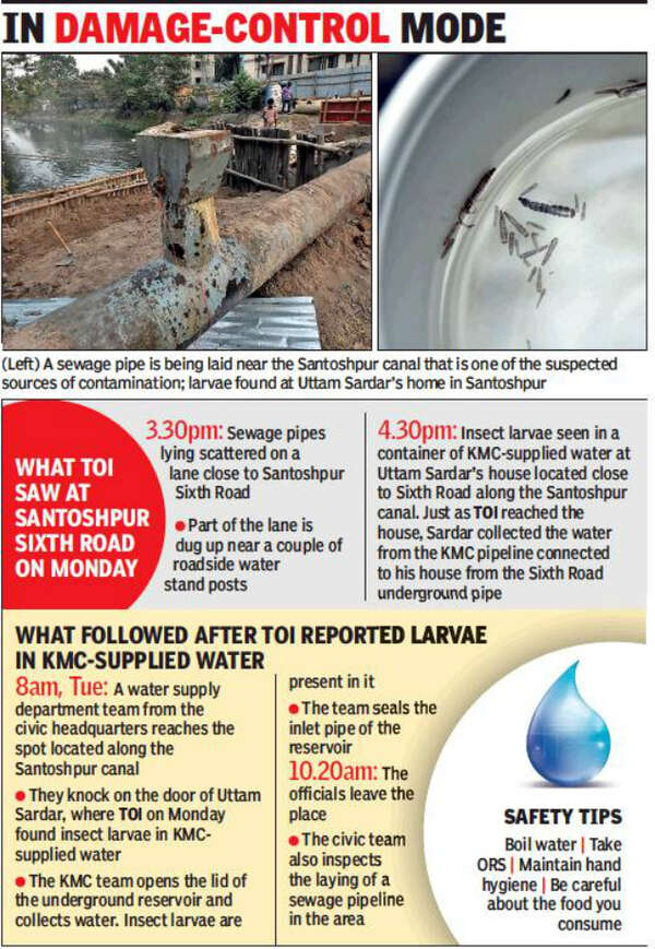 KMC: KMC rushes in where larvae gushed out of tap | Kolkata News ...