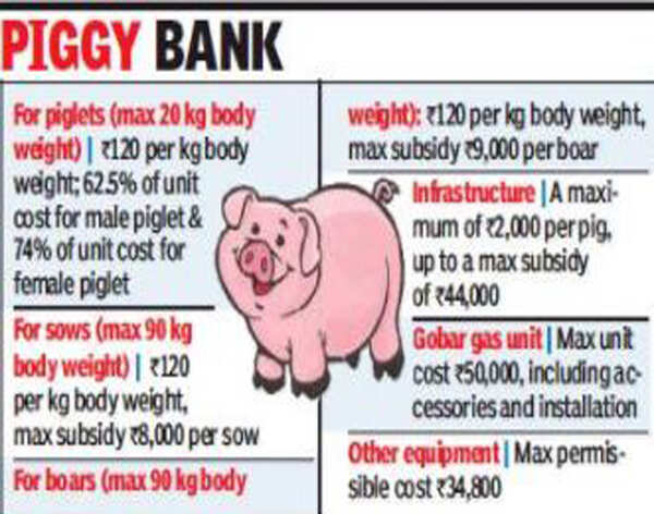 Pork Production: Govt launches scheme to boost pork production | Goa ...