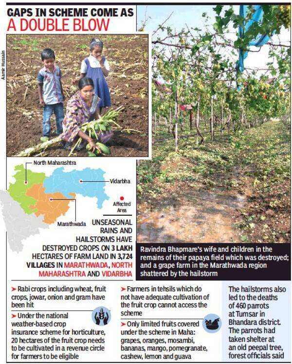 Hailstorm-hit fruit farmers to lose out on crop insurance too | Mumbai ...