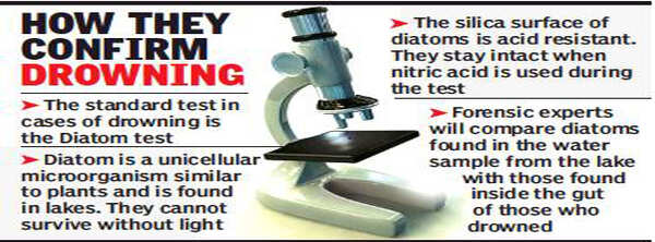 Red sanders woodcutters drowned: Autopsy report | Vijayawada News ...