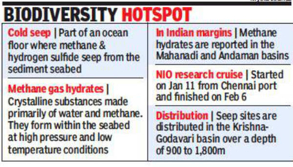 National Institute Of Oceanography: Cold seeps located in Indian waters ...