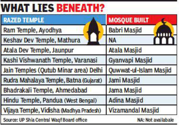 Nine mosques built over razed temples: Rizvi | Lucknow News - Times of India