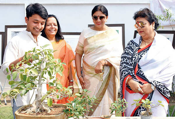 Bonsais get an artistic touch at this exhibition | Events Movie News - Times of India